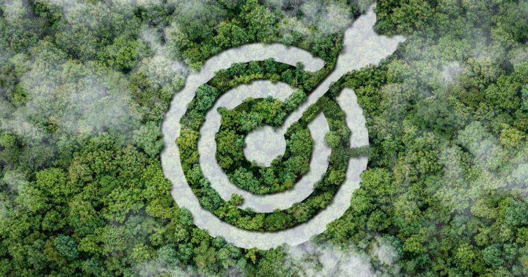 Building a Net Zero future: CAST's response to the CCC’s Seventh Carbon ...